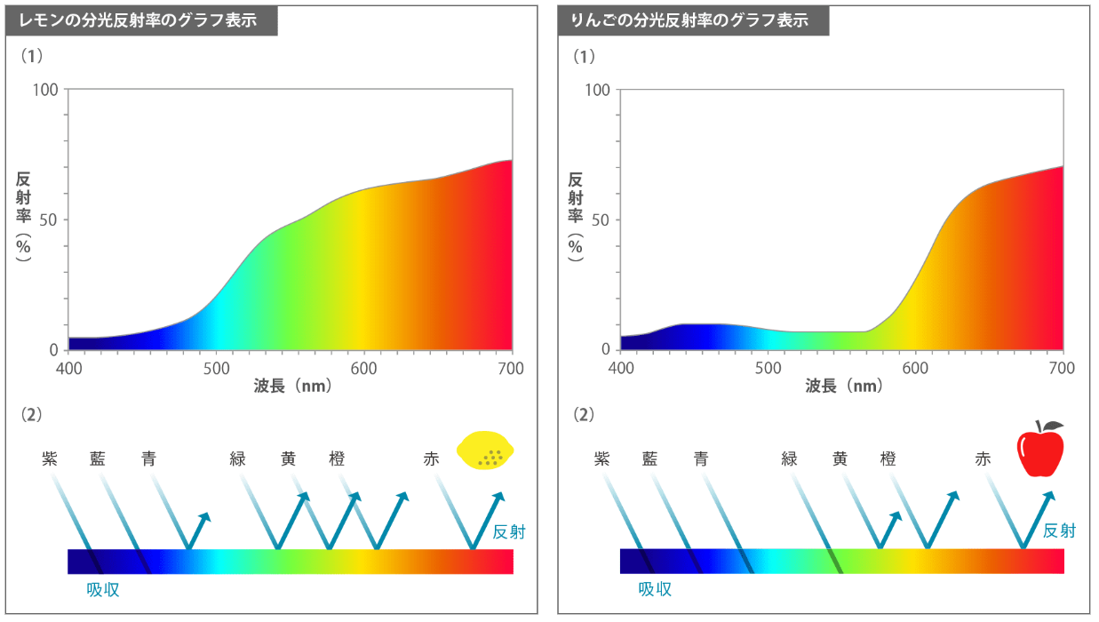 【色彩検定3級対策】第1回_色はなぜ見えるのか？光の基礎知識についても解説 | いろうぇぶ